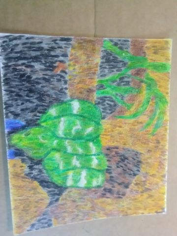 Colored Pencil Works